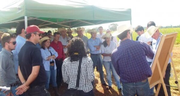 Sistema ILP destaque em dia de campo em Três Lagoas - Acrissul