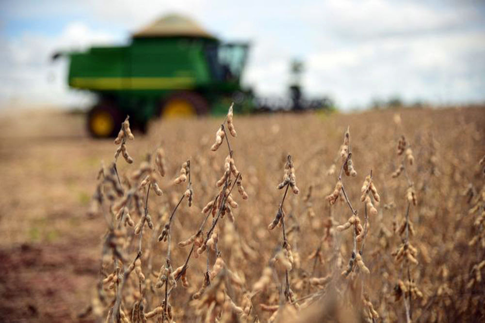 Evolução Da Agropecuária Do Estado Será Tema Da 10ª Edição Do Ms Agro