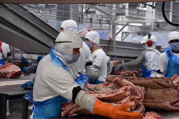 Faturamento de MS com a exportação de carne bovina cresceu 28% em 2022 ...